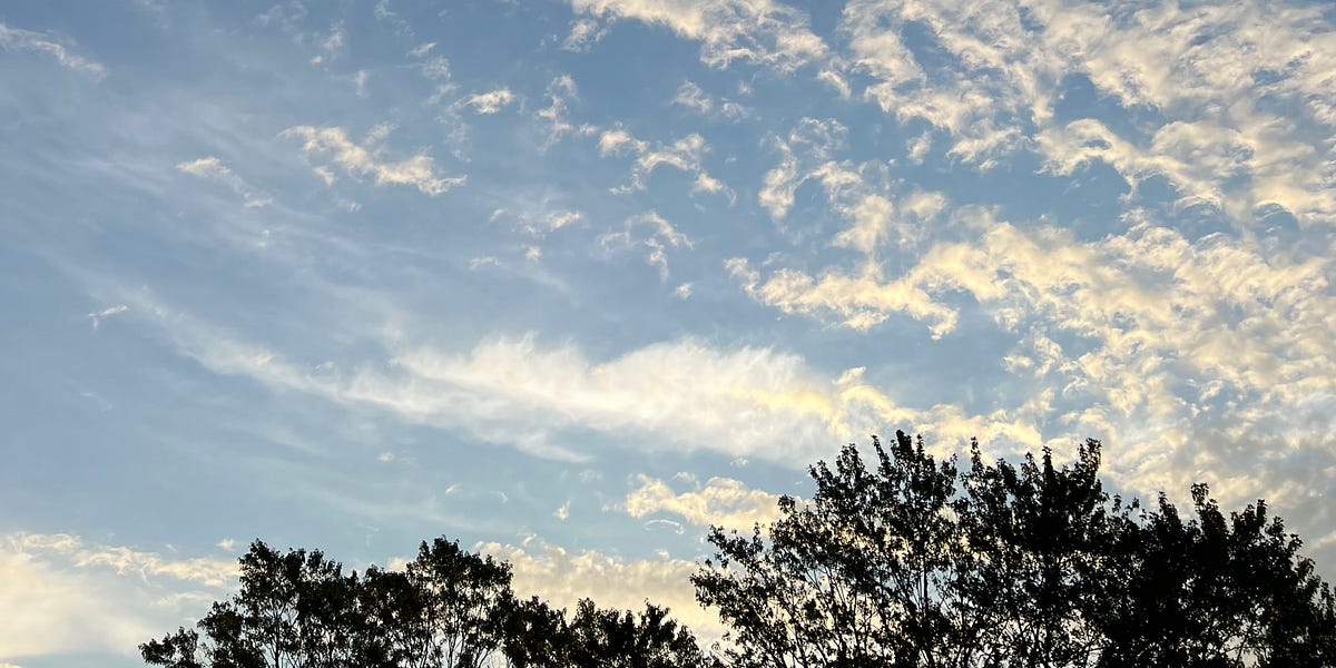 Q1 creative check-in - by Allison - Eclectic Curiosity