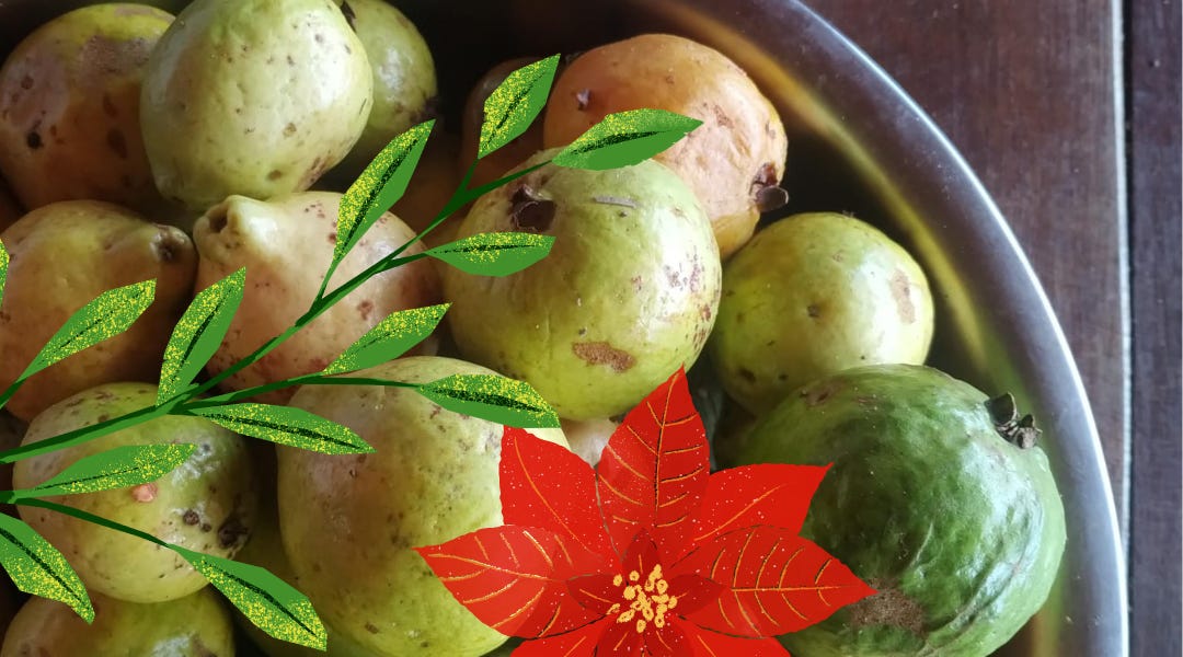 goiabada com araçá - by Rafa Medeiros - a doceira selvagem