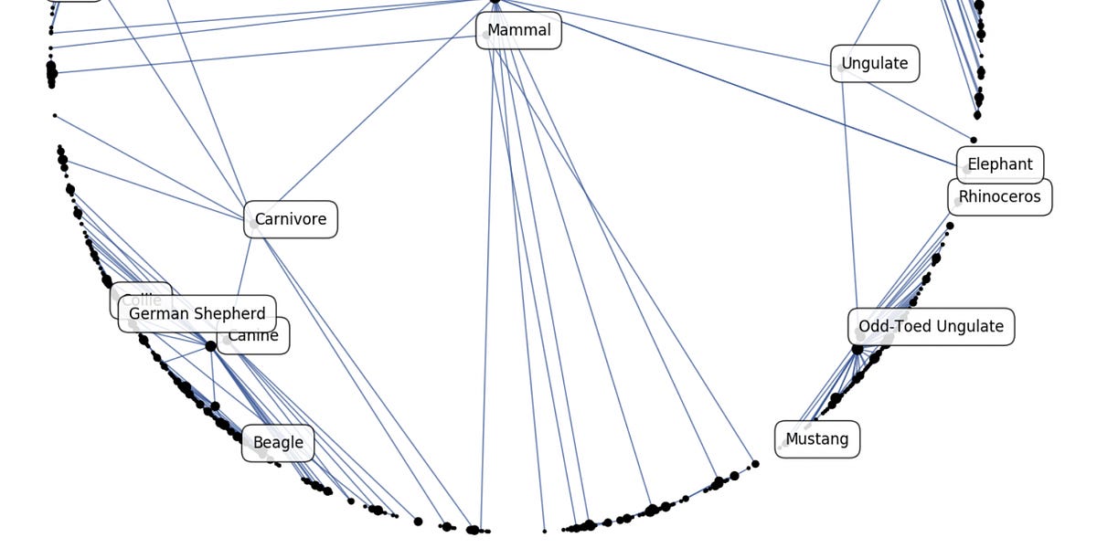 Representing Hierarchical Data With Poincaré Embeddings