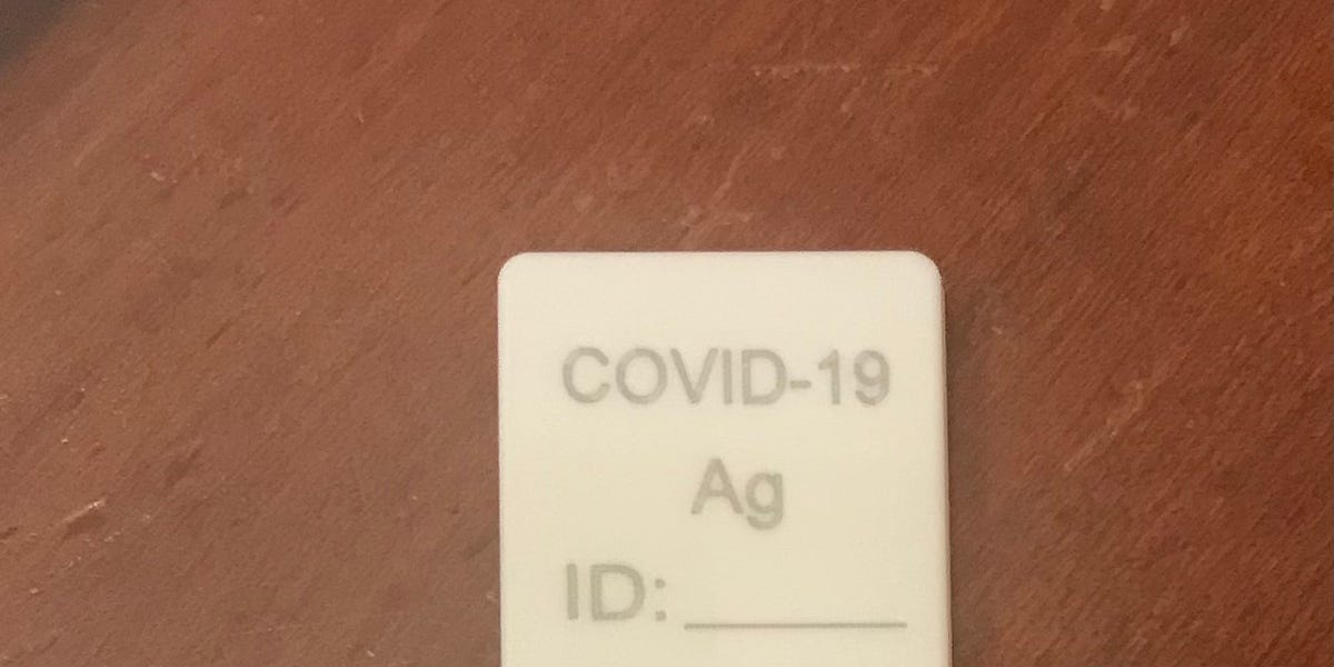 The lurgy has hit - by Katy Barnett - What Katy Did