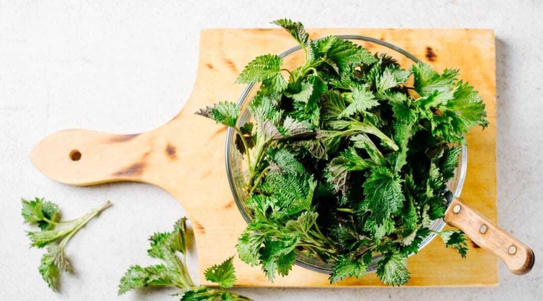 Obnoxious Weeds Team Up to Fight Cancer–New Review