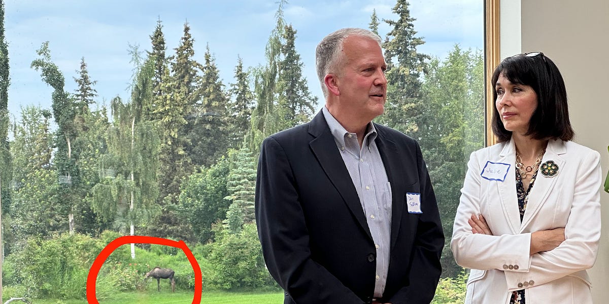 Sullivan's Alaska fundraiser ... with moose