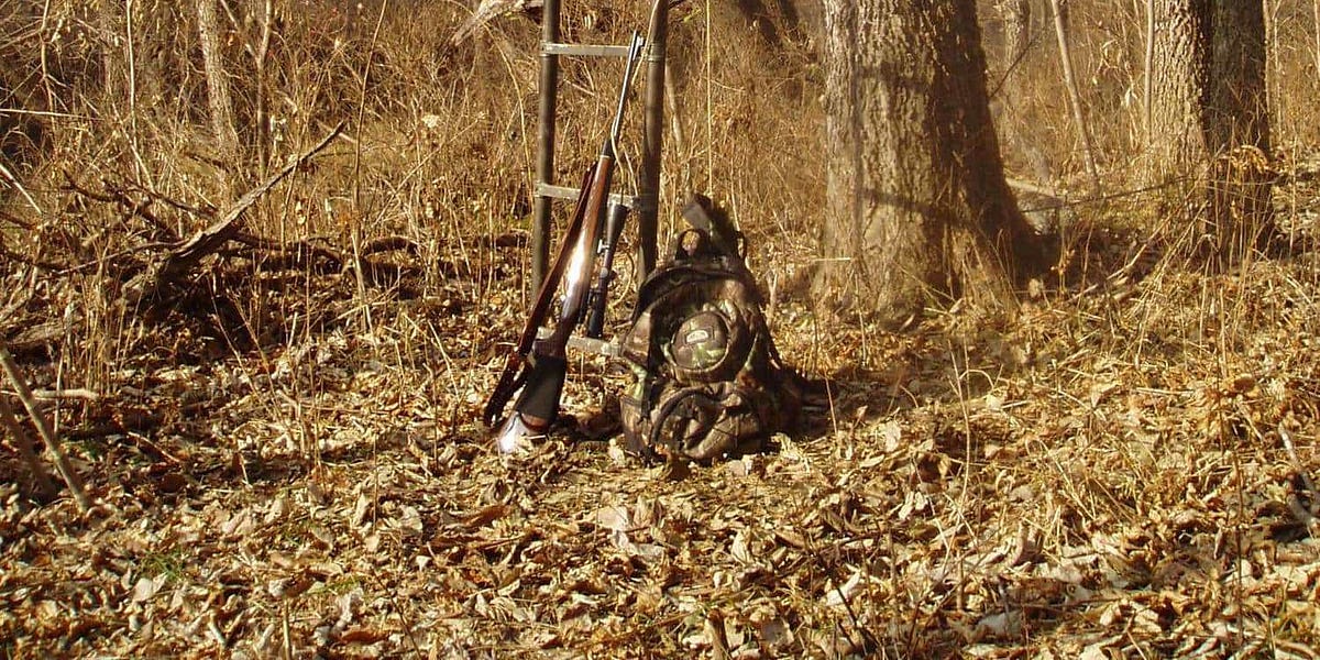 A Hunter’s Healing - Guest Post by Shane Stiffler