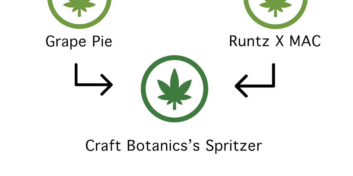 Craft Botanics's Spritzer Flower Review | AusCannaReviews