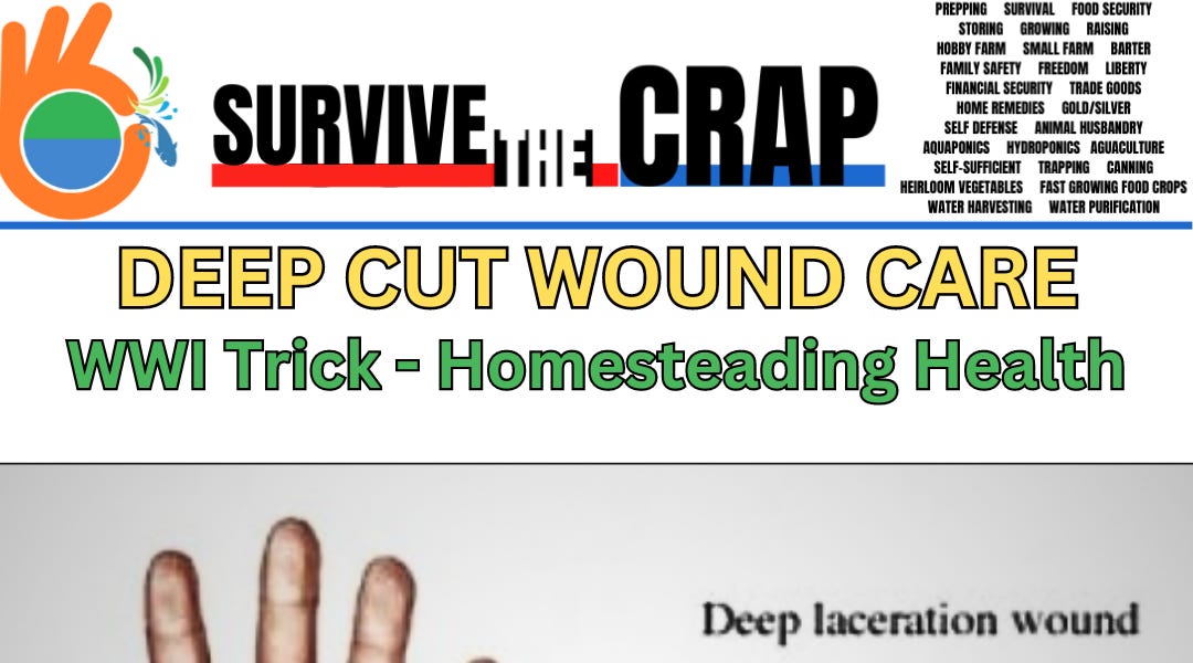 WOUND CARE for Preppers and Homesteaders!
