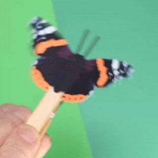 Butterflies - Rob Ives Workshop Notes