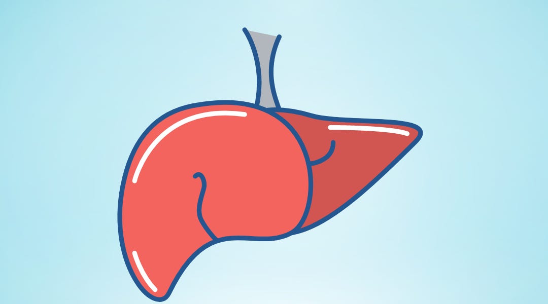 Liver Reboot: Decoding the Causes and Solutions for Fatty Liver Disease