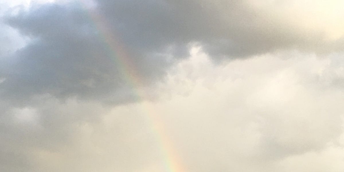 Pediatric Pearls. TORCH Infections: HIV