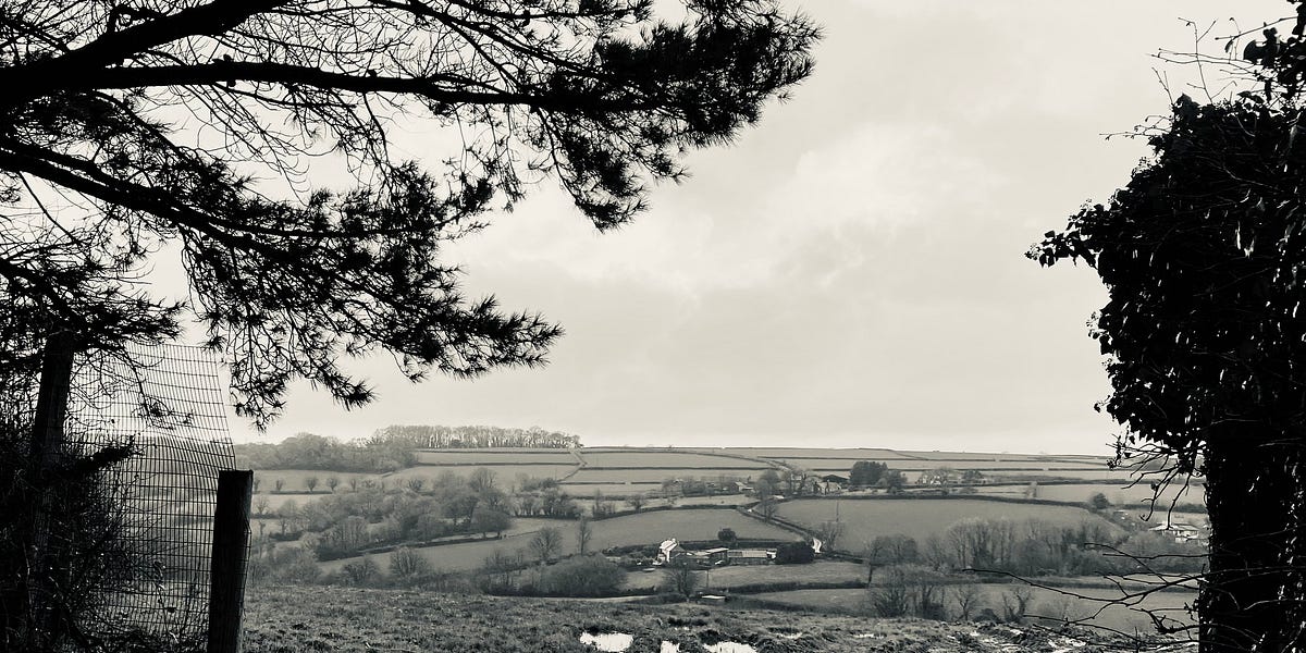 Juxtaposition - by Lynne Wyness - Three Wild Steps