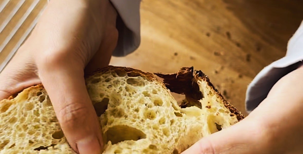 The perks of an egg in sourdough - by Ailine Liefeld