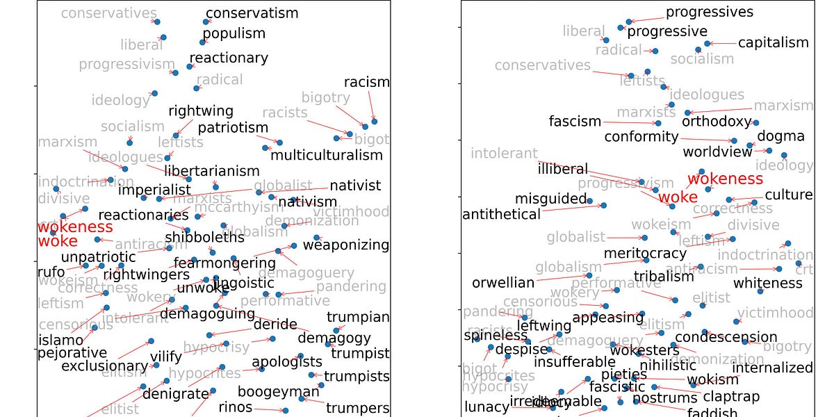 Define Wokeness! Or how you shall know a word by the company it keeps