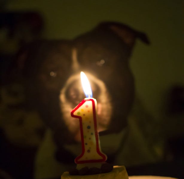 ChatGPT, bientôt un an ≈029 - Myriades \ Francis Pisani