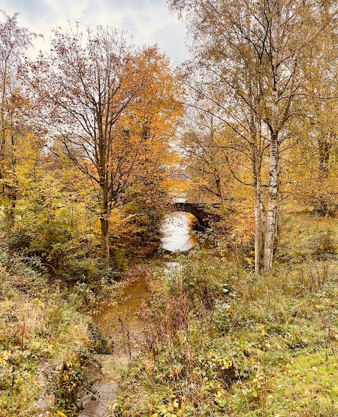 Autumn-ing - by Ten Days A Week - Amy’s Substack