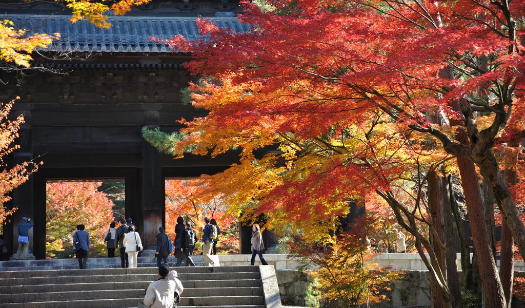 Kyoto Fall Foliage Itinerary - by Inside Kyoto
