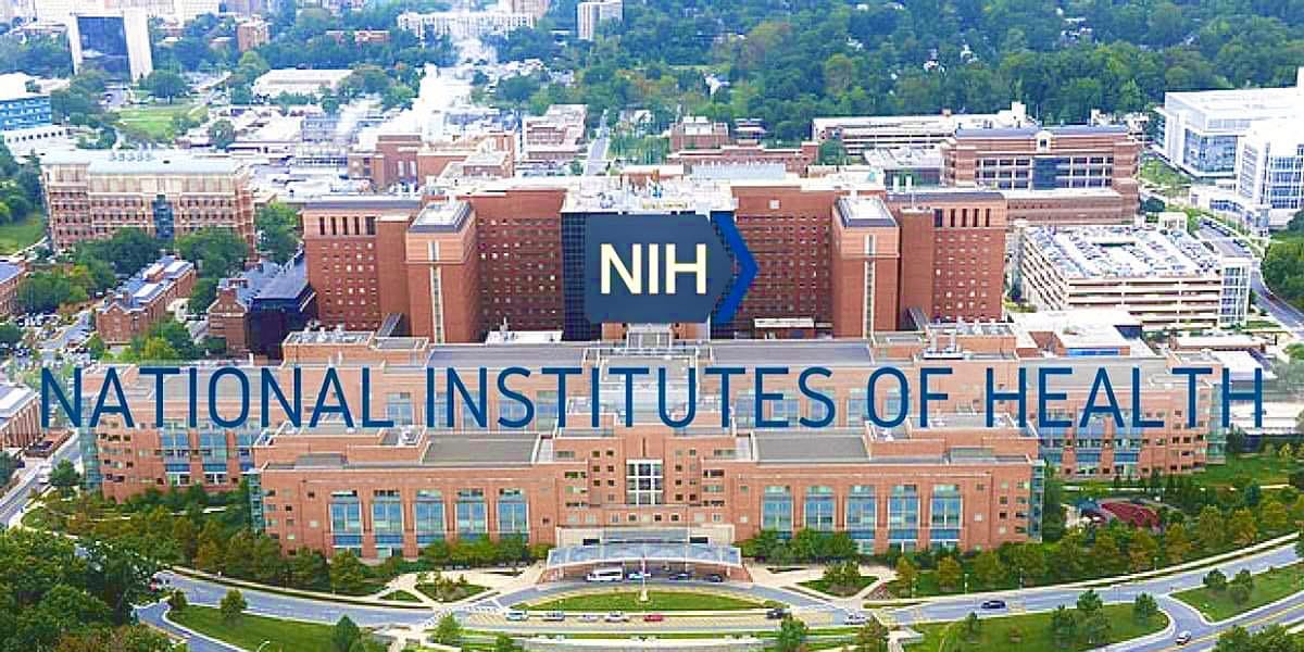Reforming the NIH’s Intramural Program - by Stuart Buck