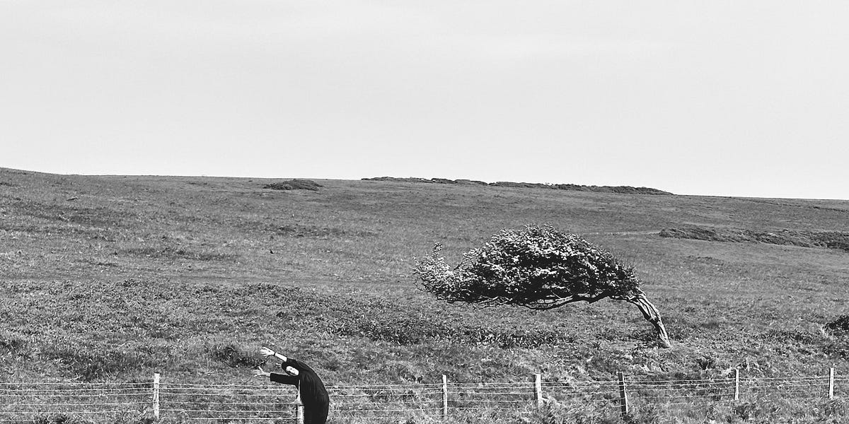 Land, Float, Expand 06 - by Kelly Thomas