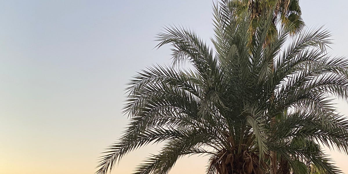 Marrakech - by The Orwell Foundation - Orwell News