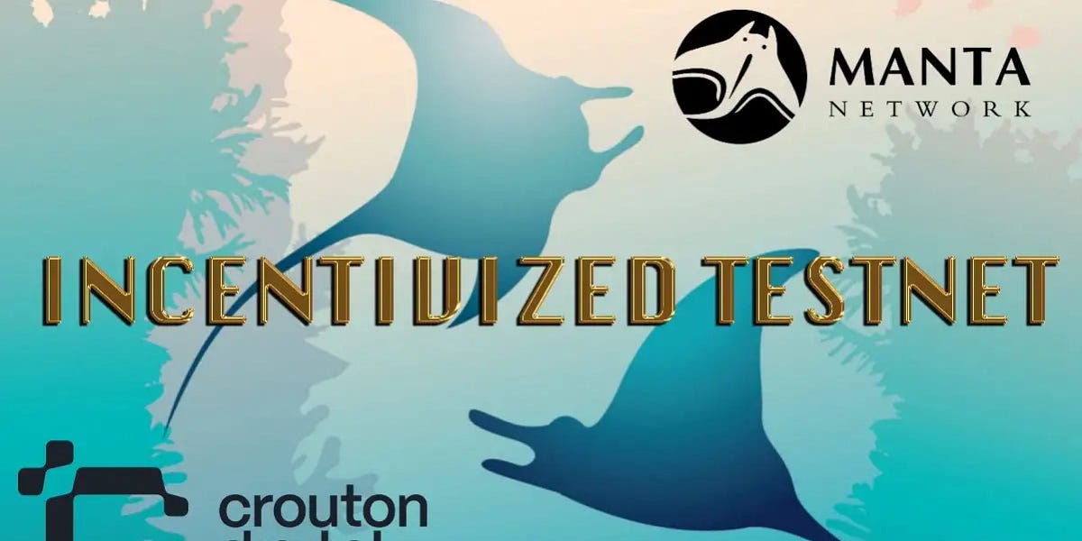 Manta network incentivized testnet - Dasler’s Substack