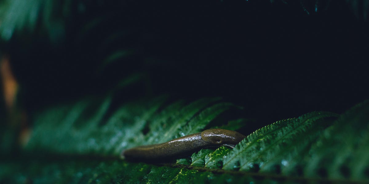 Sin Like Slugs - by Nate Marshall - The Blue Scholar