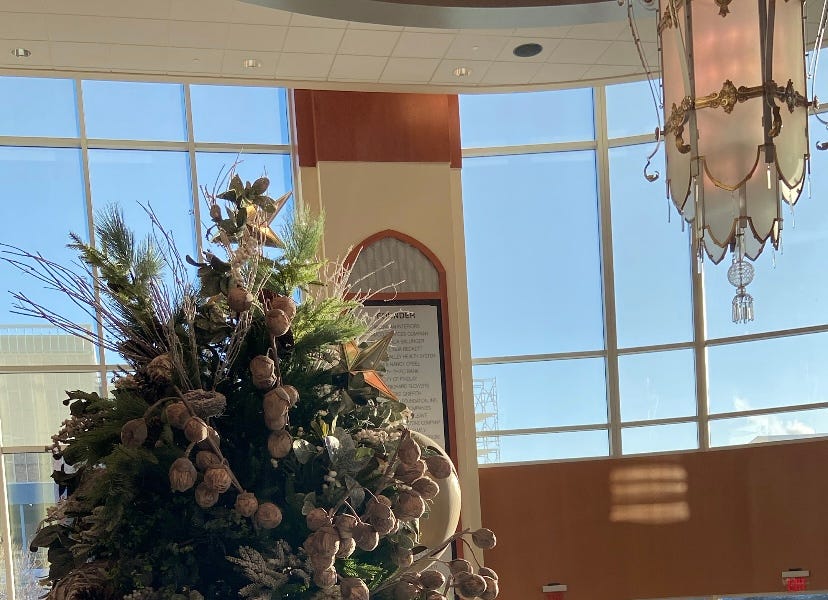 Doing things in real life - by Ashley C.