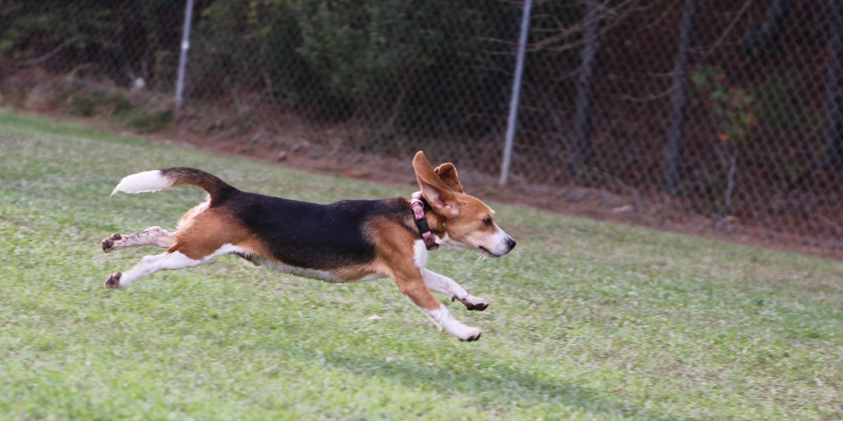 Free for All Friday - Understandably by Bill Murphy Jr.