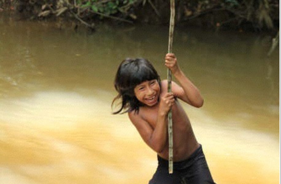 #3. Why Do We Play? - by Peter Gray - Play Makes Us Human