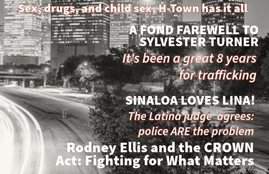 Donde Esta Dora? - by Merissa Hansen - The Houston Comical