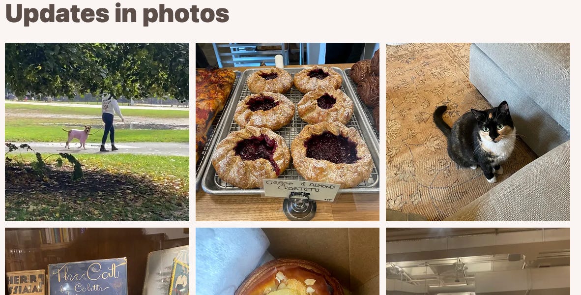 003. Life update lately - by Namu Park