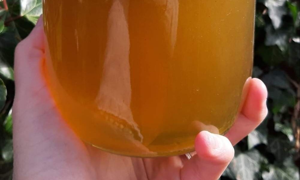 Making Ivy Leaf Laundry Soap - by Jacqueline Durban