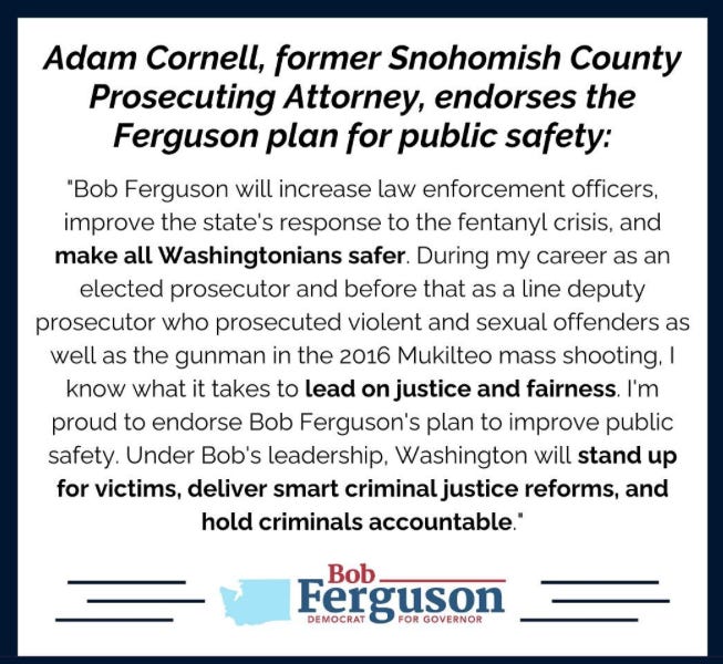 Ferguson rolls out public safety plan, including $100 million for more cops