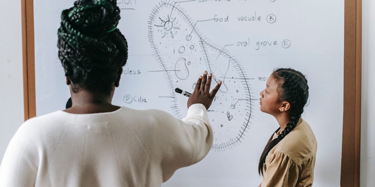 Show and Tell - by Paul Musgrave and Nick Davis