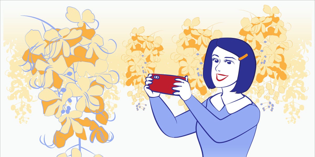 Ratchaphruek: Thailand's beautiful national flower