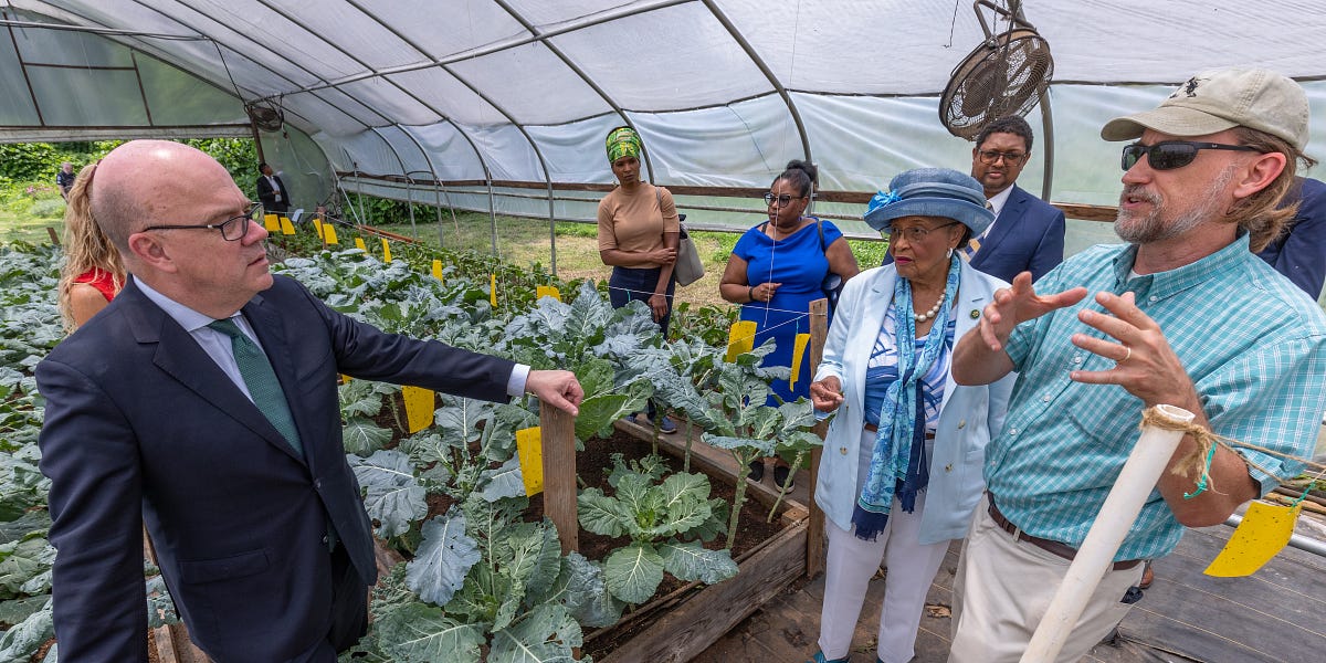 Adams 🚨 Alert: Focus on Food - by Congresswoman Alma Adams