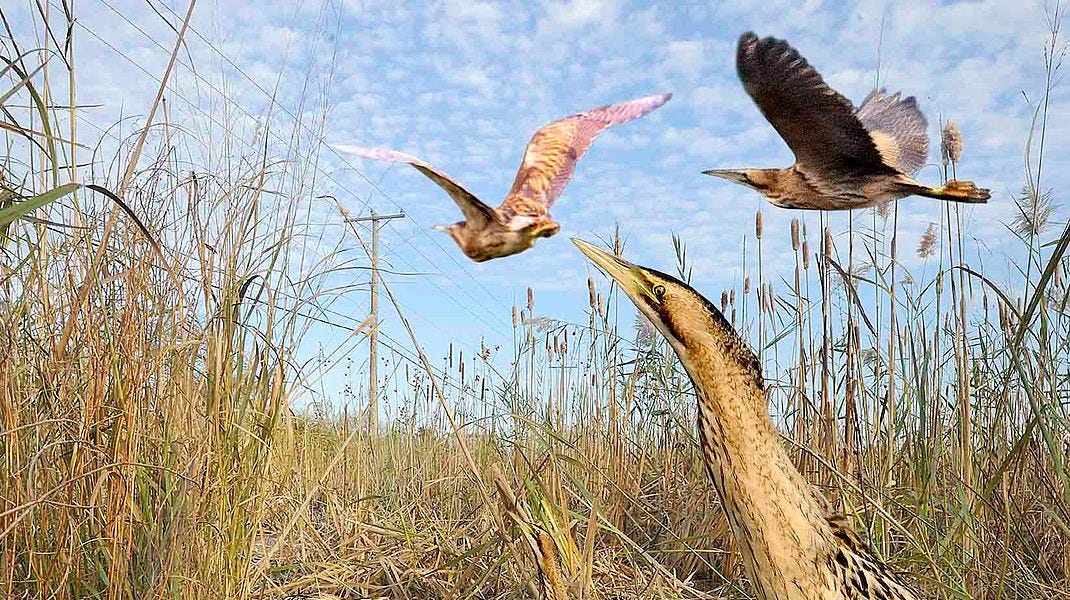 Bodies of water - by Sarah Crowder - One Stone