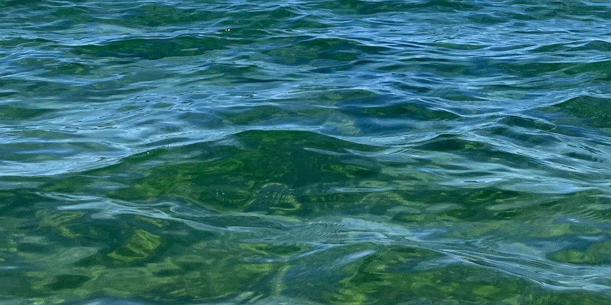 Writing about water - by Daniel Rothberg