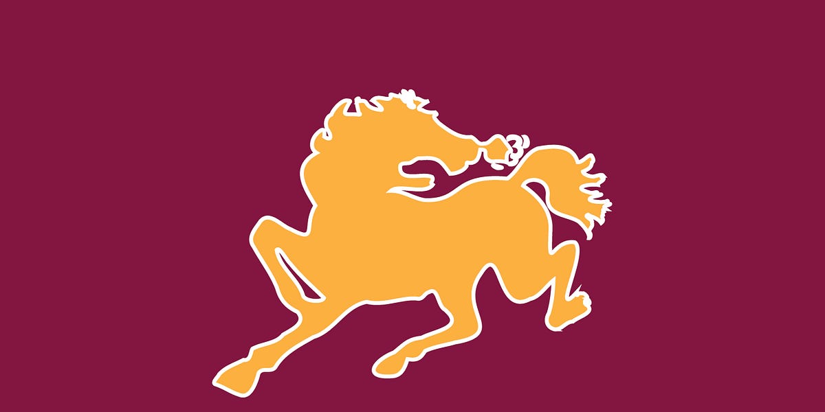 REVIEW: 2024 - by Liam Callaghan - Maroon Observer