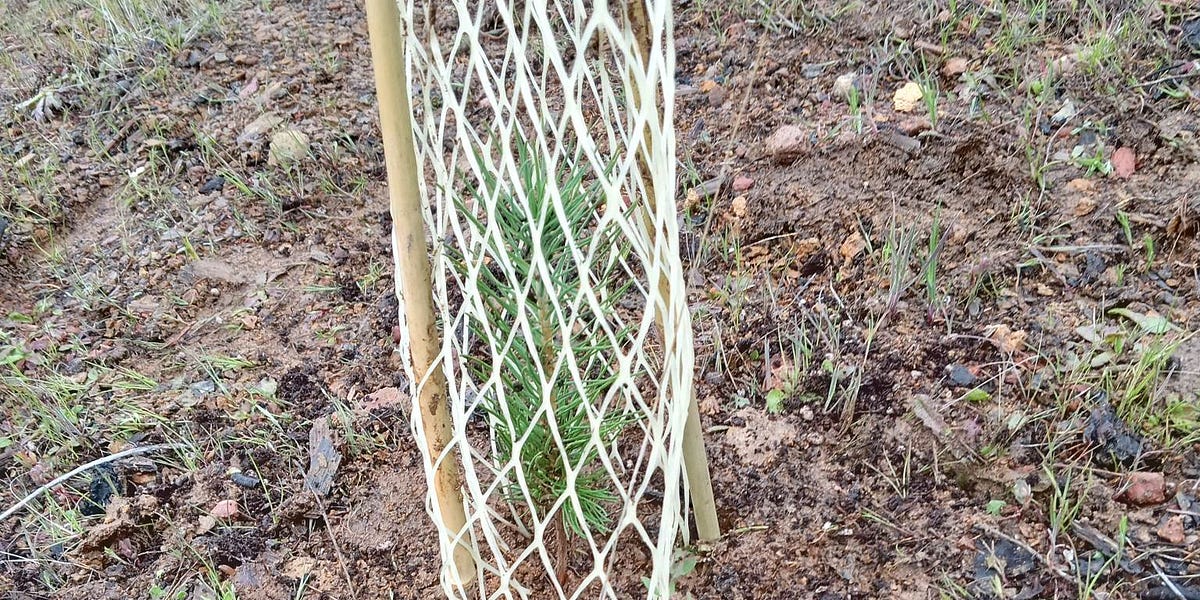 Work - by Lydia Fern - Creekside Astrology