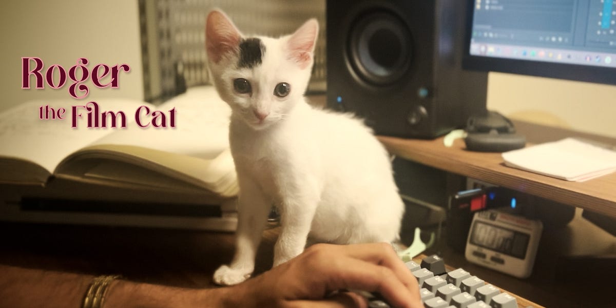 Roger the Film Cat - by Pawsette - 432 Hz Classical Pets