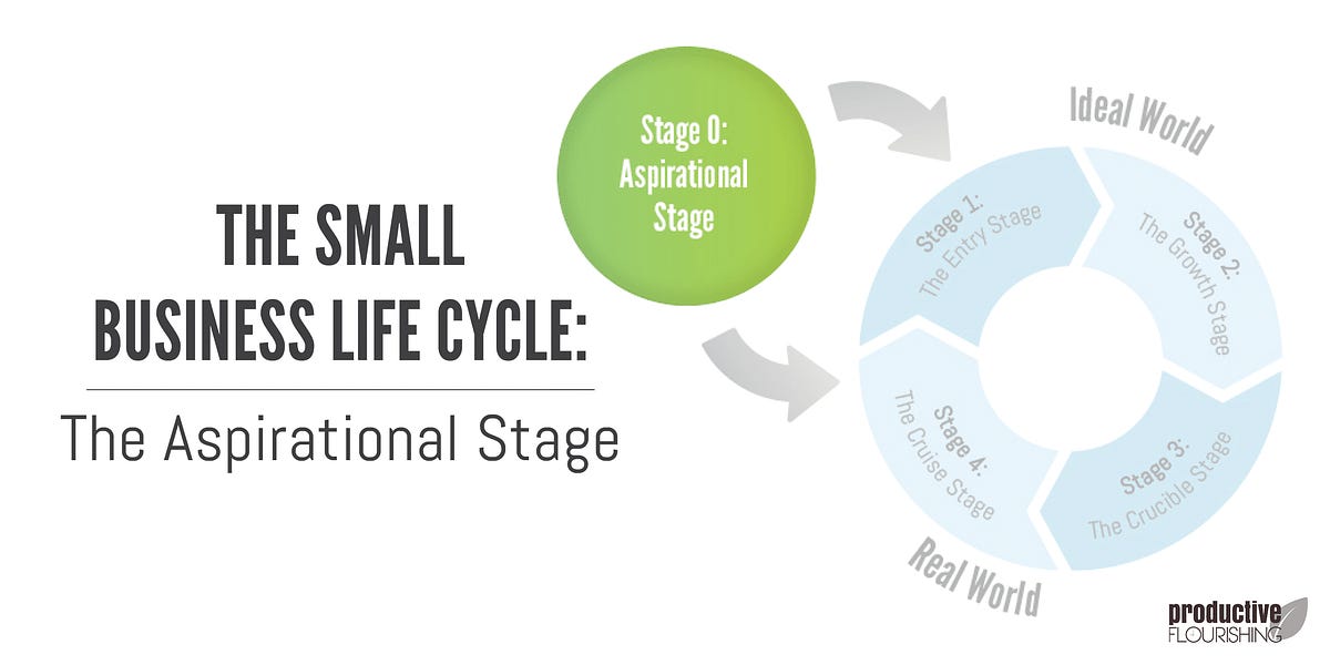 The Small Business Life Cycle: The Aspirational Stage