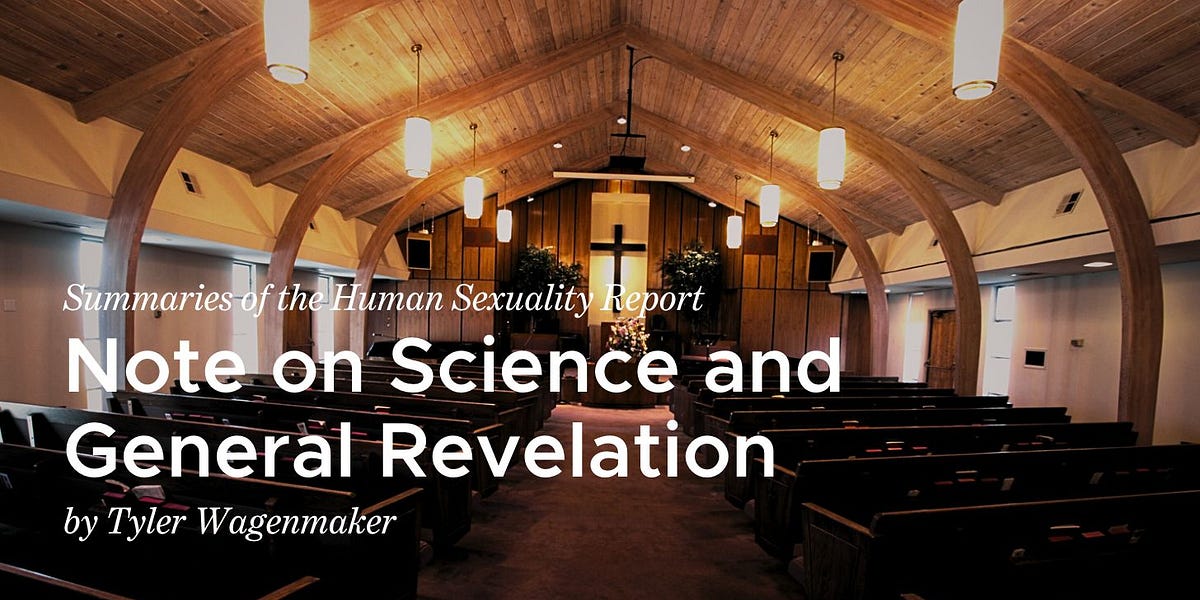 HSR Summaries: Section III: A Biblical Theology of Human Sexuality