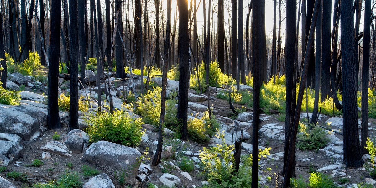 Bob Wick - PHOTOSNACK