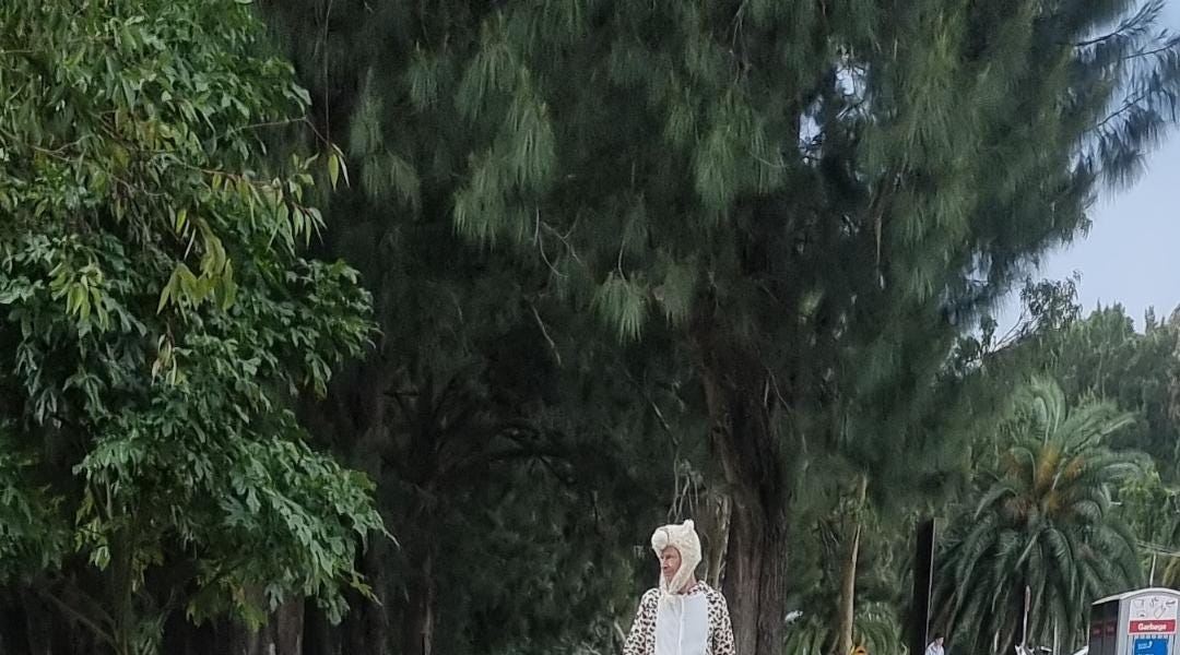 A day at the park - by Graham Linehan - The Glinner Update