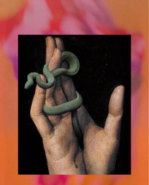 Making Kin with Disability - by Sophie Strand