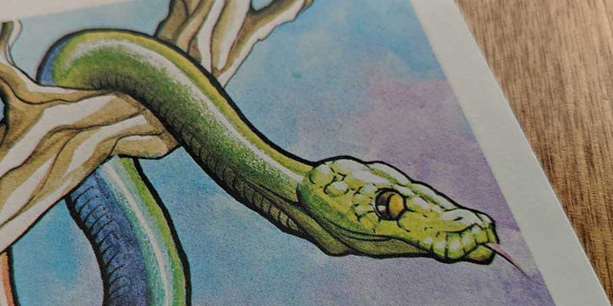 Dungeons & Dragons Monster Cards – Giant Constrictor Snake