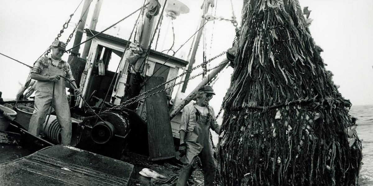 The Last Fishermen of Long Island