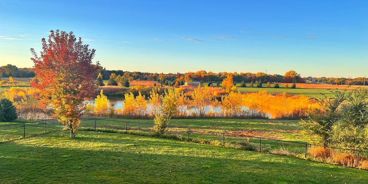 Seasons - by Mary Beth Albrecht - Mary Beth’s Newsletter