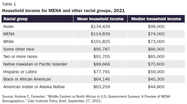 Against a New Middle Eastern or North African (MENA) Racial Category