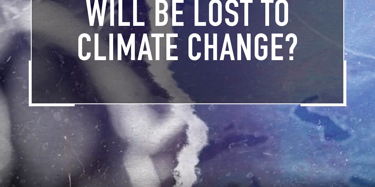 The Extinction Countdown: How Many Species Will be Lost to Climate Change?