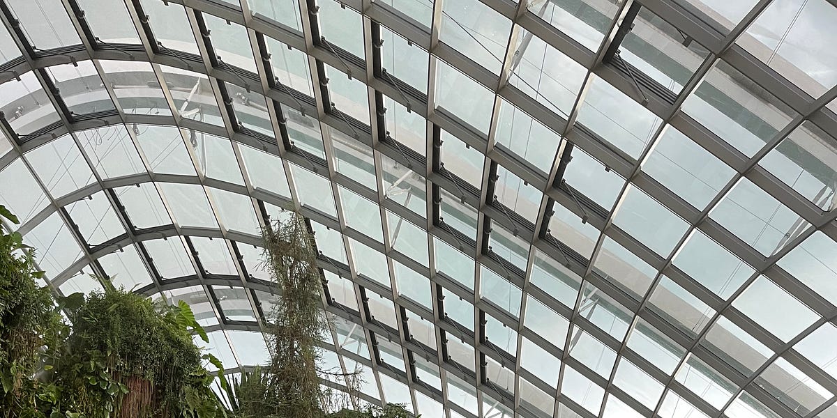 Joining the Zeroth World - by Diane Yap