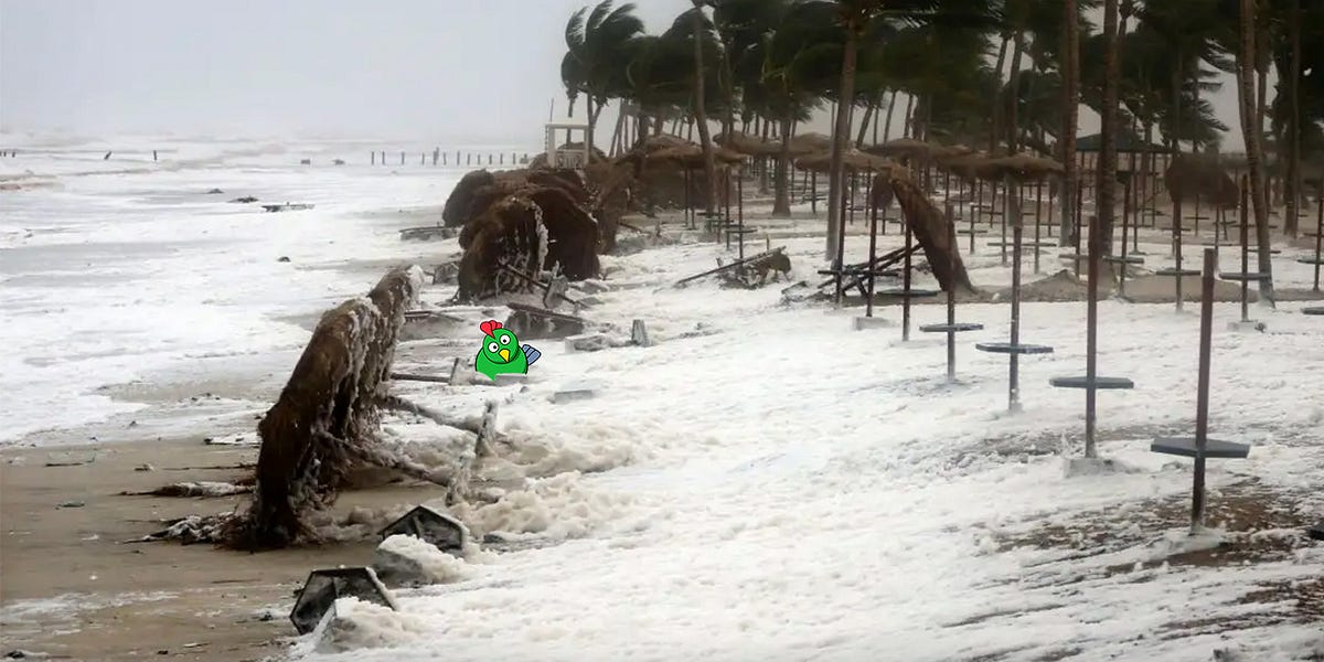 Scientists Say - Doomberg